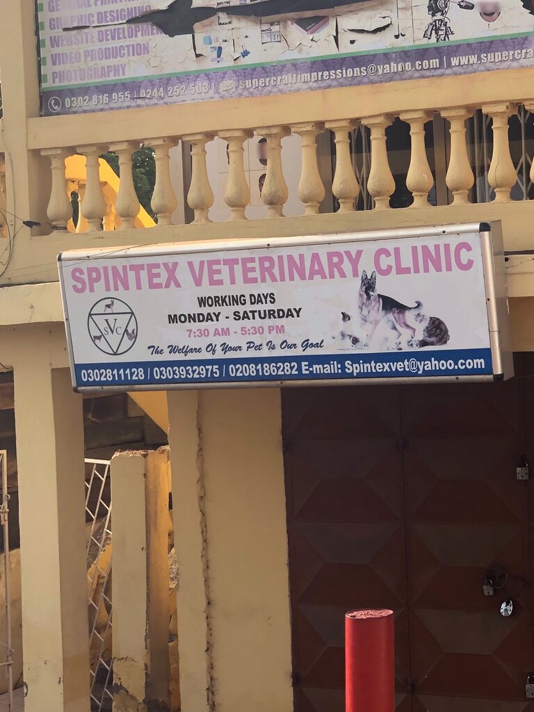 Veteriner klinikleri Spintex Veterinary, Dünya, foto