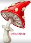 Muhomor (улица Абазгаа No:49/1), mantar yetiştirme ve satış  Gagra'dan