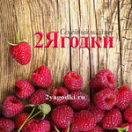 2 Berries (Khudozhnikov Avenue No:27к1), manavlar  Saint‑Petersburg'dan