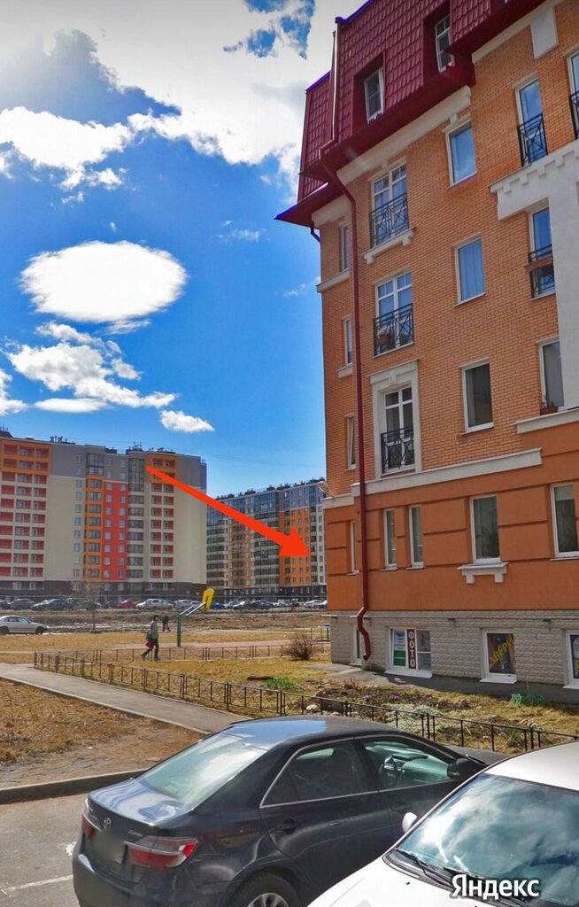 Evcil hayvan kuaförleri ZooModnik, Saint‑Petersburg, foto