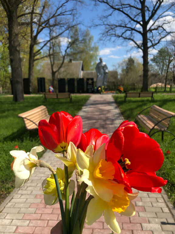 Anıt, heykel Воинское захоронение, Saint‑Petersburg ve Leningradskaya oblastı, foto