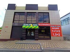 Hmelnik (ulitsa Avdeyeva No:46), bira dükkanı  Bobrov'dan