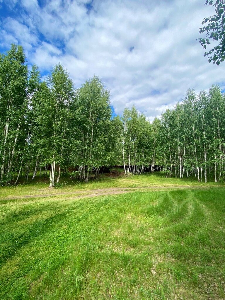 Kamp alanları Кемпинг, Çeliabinskaya oblastı, foto