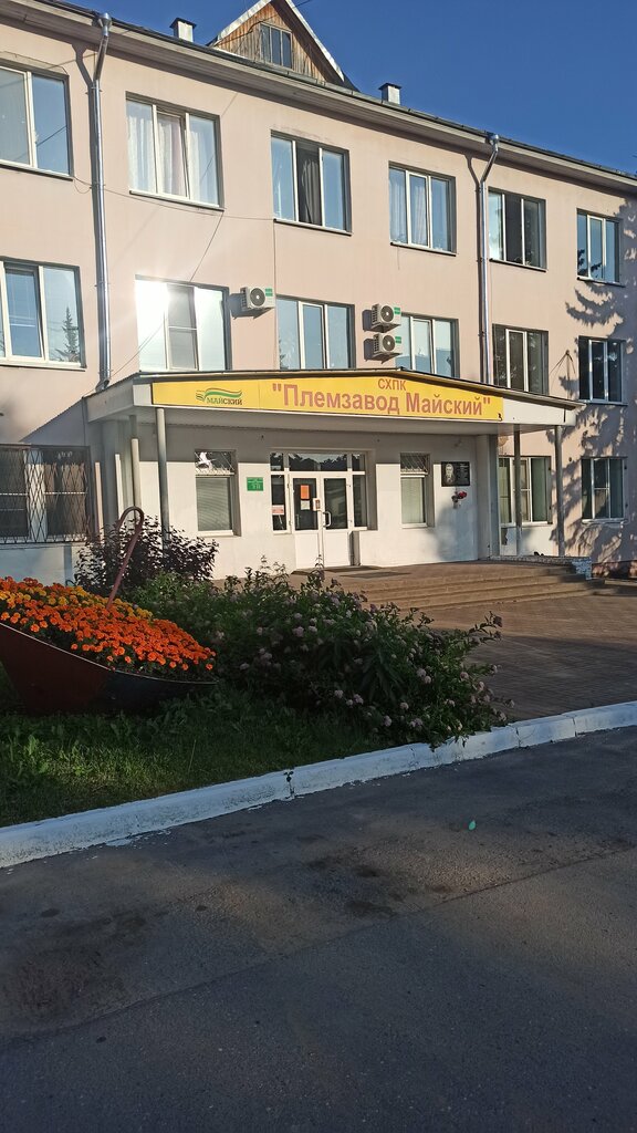 Tohum üretimi Skhpc Plemzavod May, office, Vologodskaya oblastı, foto