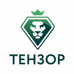 Tenzor (Kuybysheva Street No:95Б), banka dışı kredi organizasyonu  Perm'den