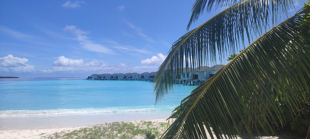 Otel Amari Havodda Maldives, Dünya, foto