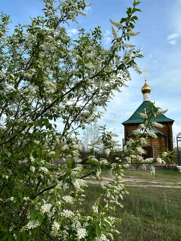 Ortodoks kiliseleri Церковь Пантелеимона Целителя, Ulyanovskaya oblastı, foto