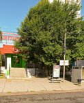 Улица Молодогвардейцев (Tyumen, ulitsa Chervishevskiy Trakt), toplu taşıma durağı  Tiumen'den