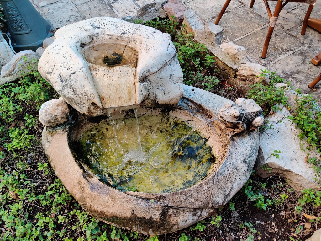 Kafe MB Ice Club, Dünya, foto