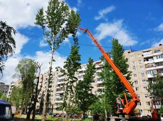 Peyzaj tasarımı Pilim Kosim Vivozim 64, Engels, foto