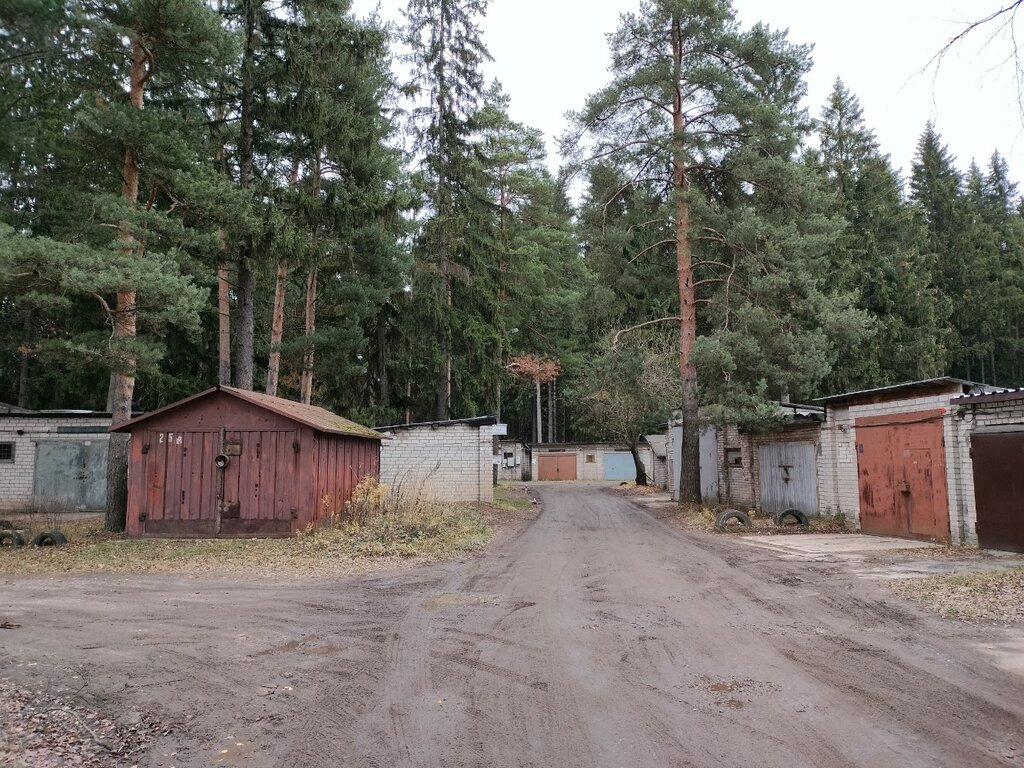 Garajlar Янтарь, İvanovo, foto