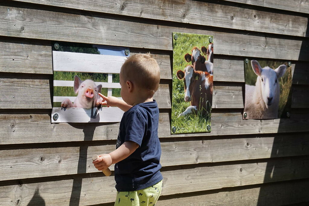 Anaokulları Humankind - Kinderdagverblijf De Esse, Dünya, foto