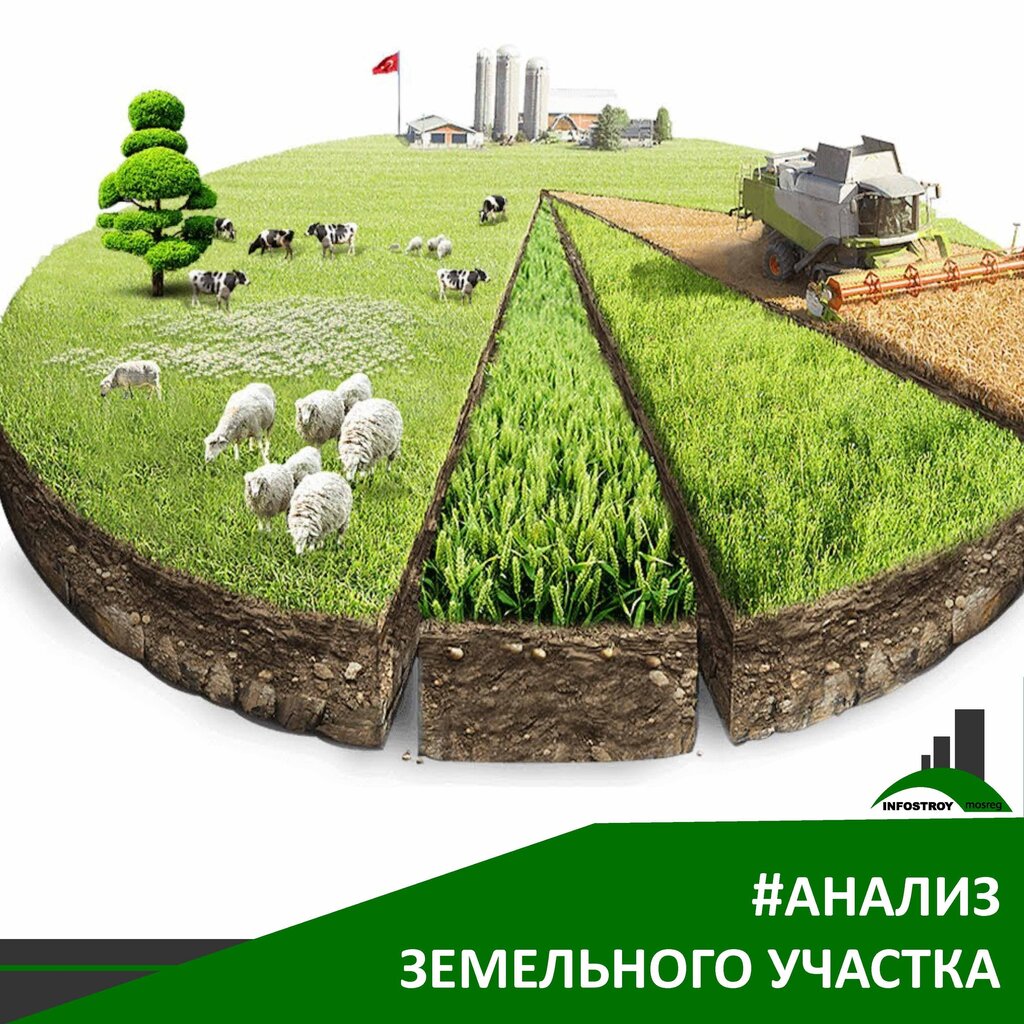 Proje enstitüleri, kurumları Infostroy-mosreg, Dmitrov, foto