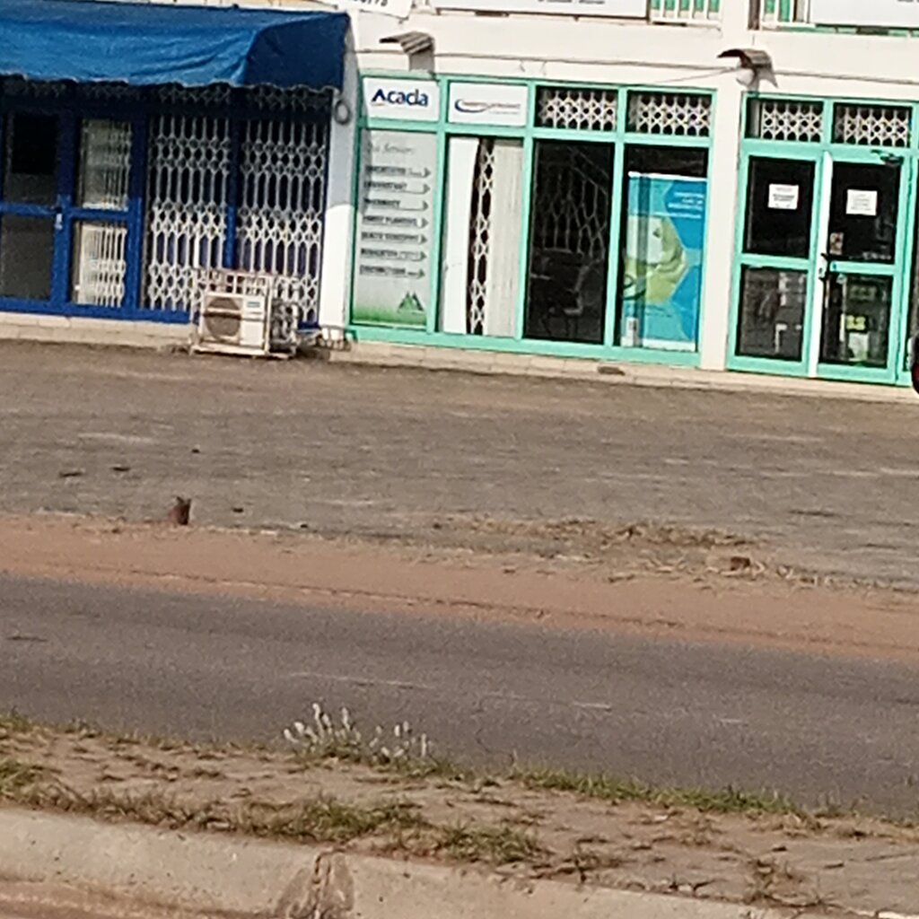 Sigorta şirketleri Acadia, Dünya, foto