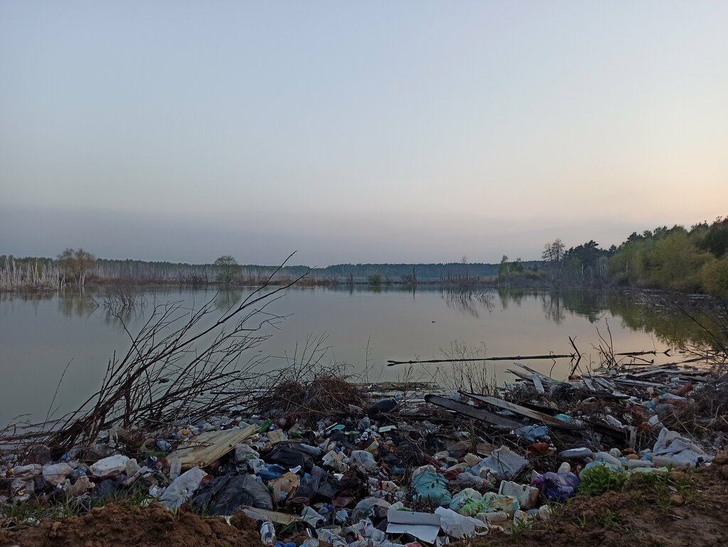 Atık depolama alanı Кетовский полигон ТБО, участок № 4, Kurganskaya oblastı, foto