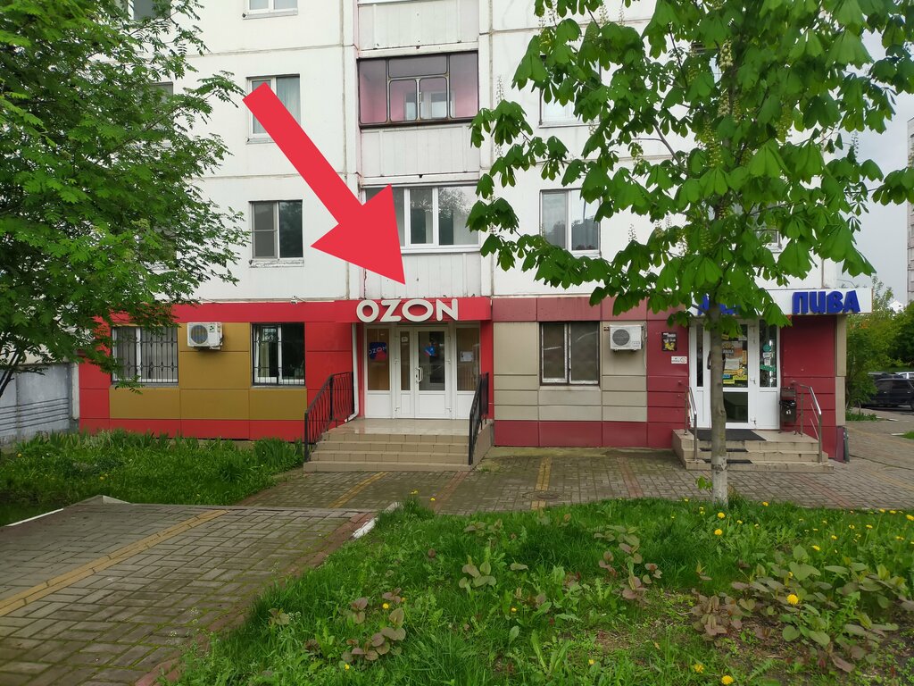 Evcil hayvan kuaförleri Студия груминга, Belgorod, foto