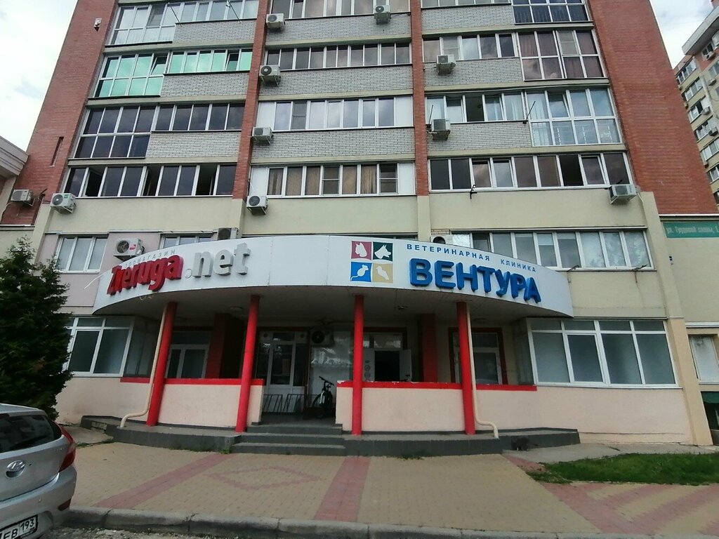 Yönetim ofisi Самокат, Krasnodar, foto