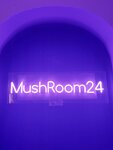 Mushroom24 (Kanala Griboedova Embankment No:42), konuk evi  Saint‑Petersburg'dan