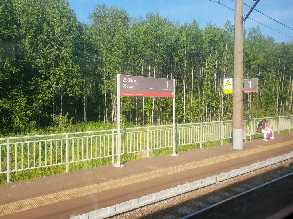 Tren istasyonu 250 km, Moskova, foto