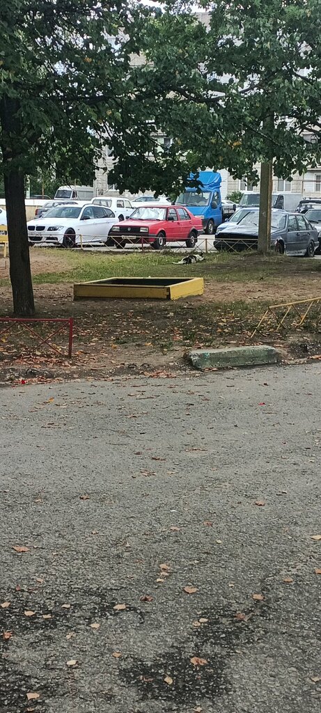 Oyun alanı Playground, Tverskaya oblastı, foto