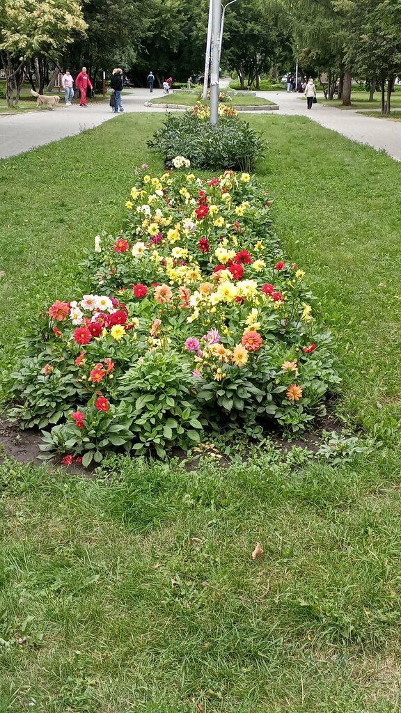 Meydan Сквер имени Чаплыгина, Novosibirsk, foto