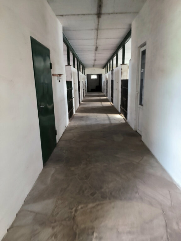 At ve binicilik kulüpleri Radiant-prince, Rostovskaya oblastı, foto