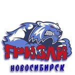Grizli (Dusi Kovalchuk Street No:2), spor kulüpleri  Novosibirsk'ten