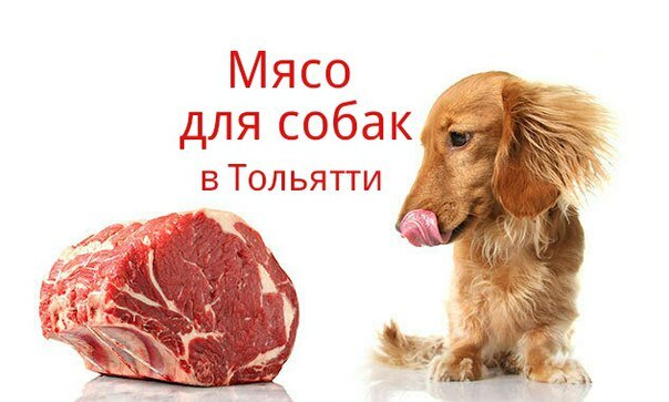 Petshop Мясо для Собак, Tolyatti (Togliatti), foto