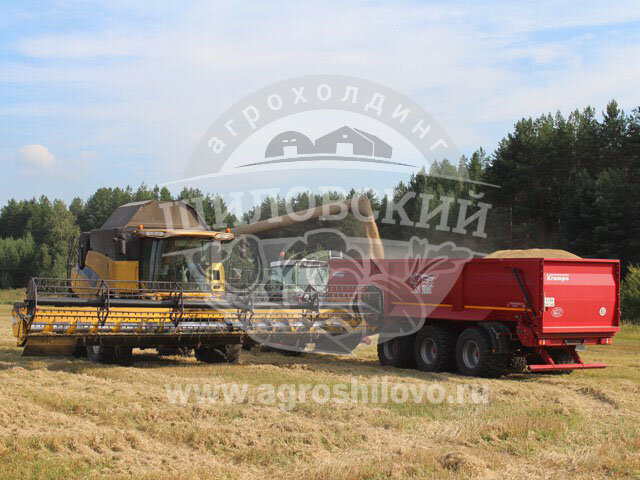 Tarım firmaları Agrokholding Shilovsky, Riazanskaya oblastı, foto