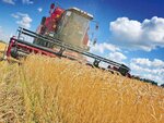 Torgovo-proizvodstvennaya kompaniya Agrokhim-XXI (Vernadskogo Avenue No:29), tarım ilacı firmaları  Moskova'dan
