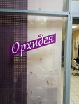 Parikmakherskaya Orkhideya (ulitsa Chekhova No:23), kuaförler  Gatchina'dan