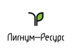 Pf Lignum-Resurs (Vosstania Street No:104), ahşap endüstrisi  Kazan'dan