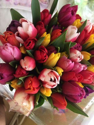 Sera ve bahçe ürünleri Miracle Garden, Moskova, foto