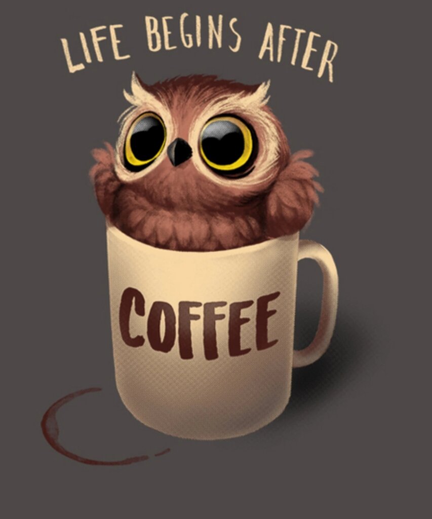 Kafe Бодрая сова, Gryazovets, foto