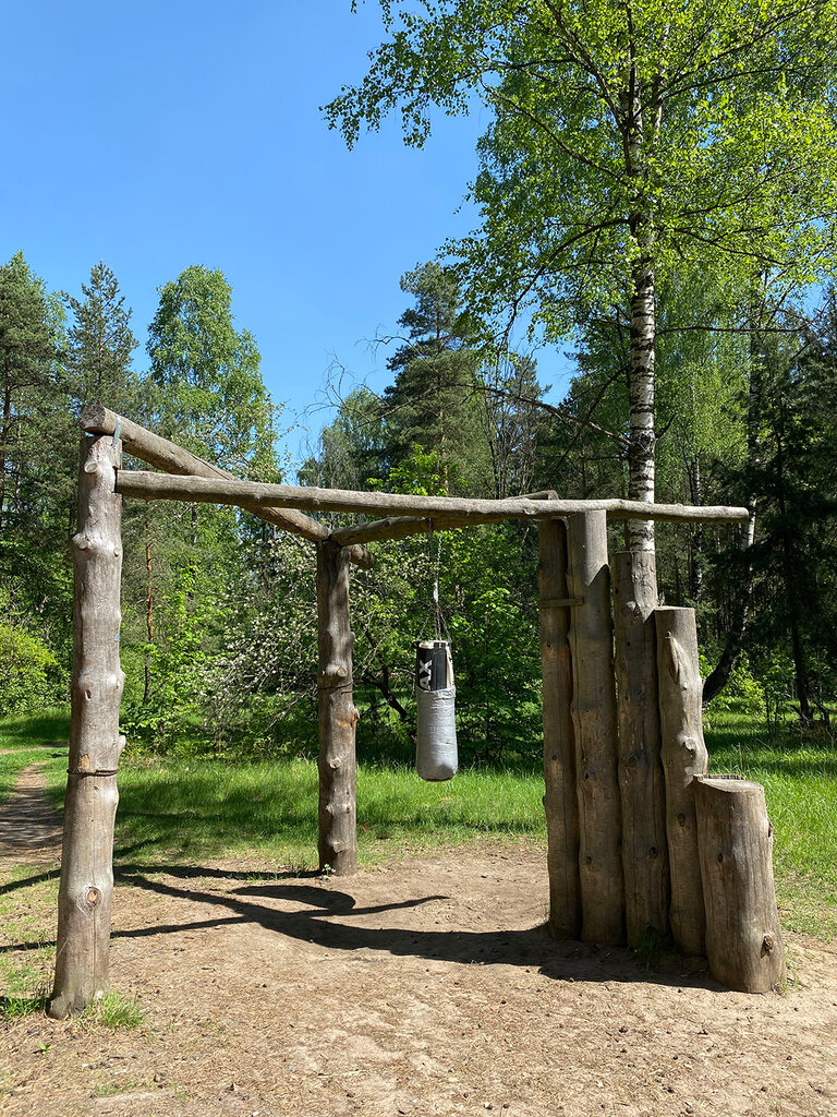 Orman Saul Forest, Orehovo‑Zuyevo, foto