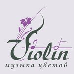 Violin (Dorozhnaya Street No:с10, Vostryakovo Subdistrict), çiçekçiler  Domodedovo'dan