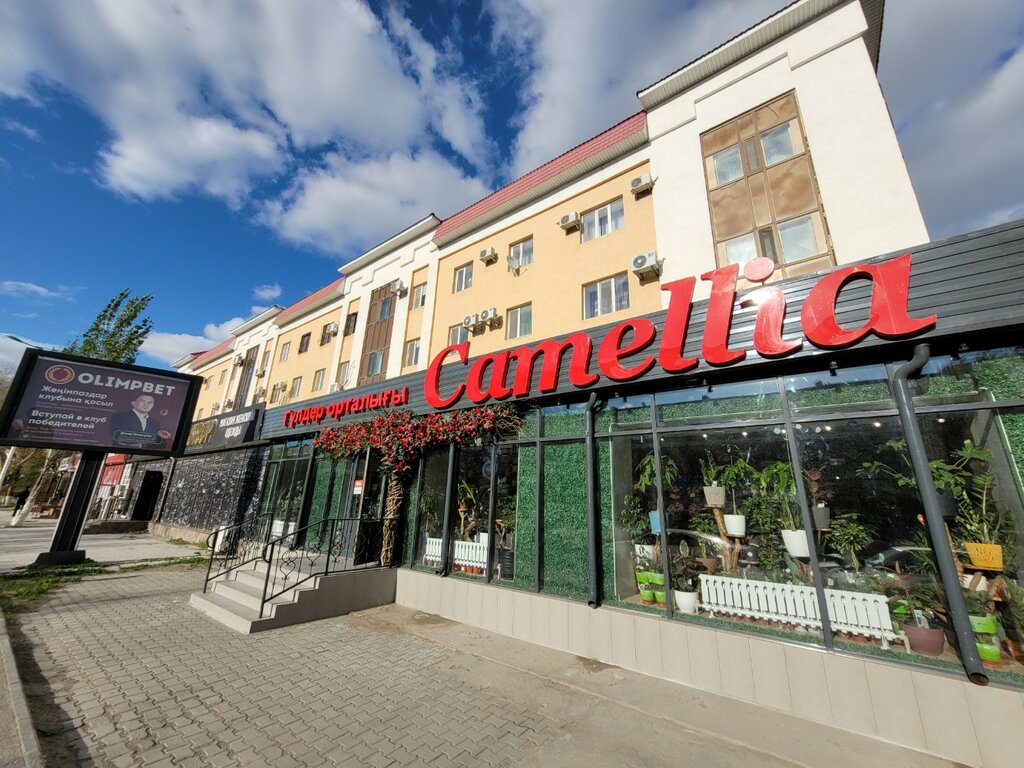 Çiçekçiler Camellia, Kızılorda, foto