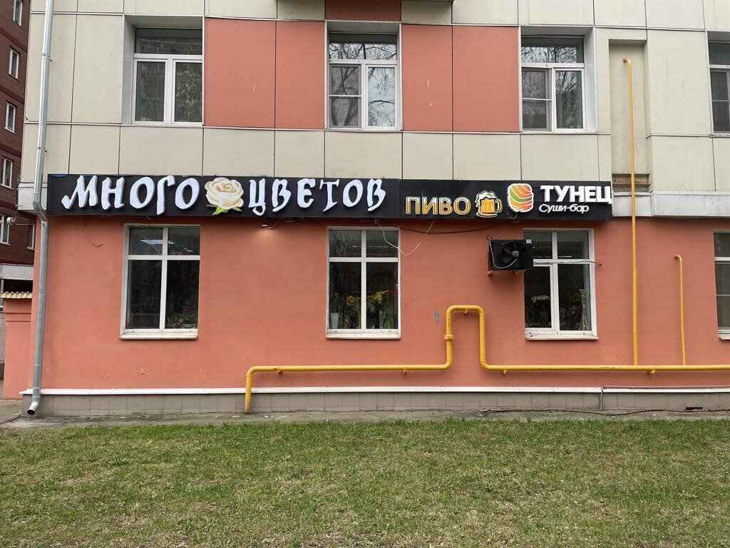 Suşi restoranı Tunec, Moskova, foto
