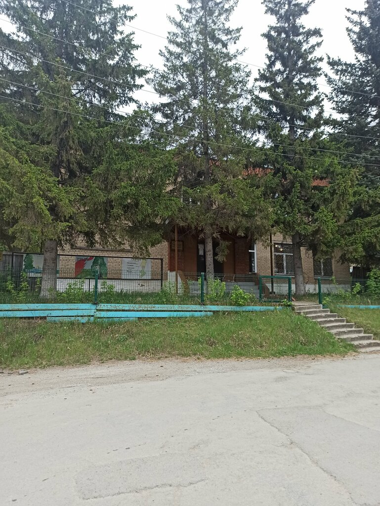 Orman işleri Chobu Miasskoye lesnichestvo, Miass, foto