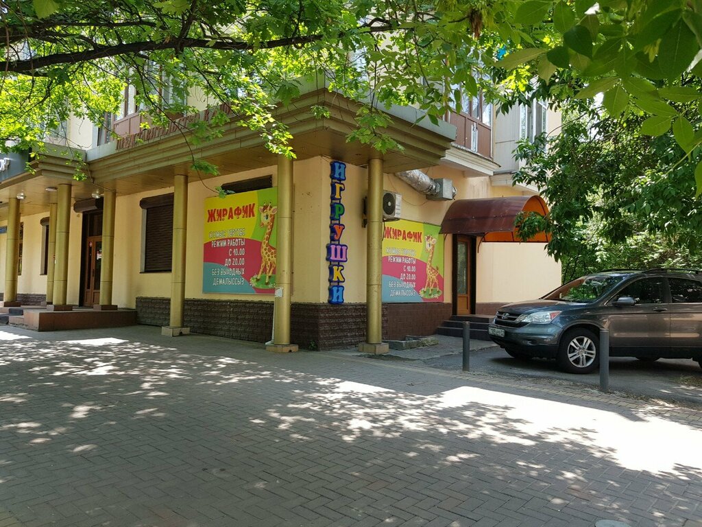 Çocuk oyunları ve oyuncakları Zhirafik, Almatı, foto