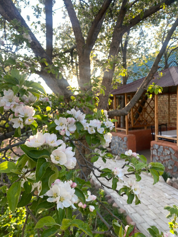 Otel Vitamin Hotel Issyk-Kul, Issık Göl İli, foto