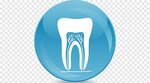 Meridian Dental (Nasaf koʻchasi No:2/34, Istiqlol mahalla fuqarolar yigʻini), özel ağız ve diş sağlığı klinikleri ve muayenehaneleri  Karşı'dan
