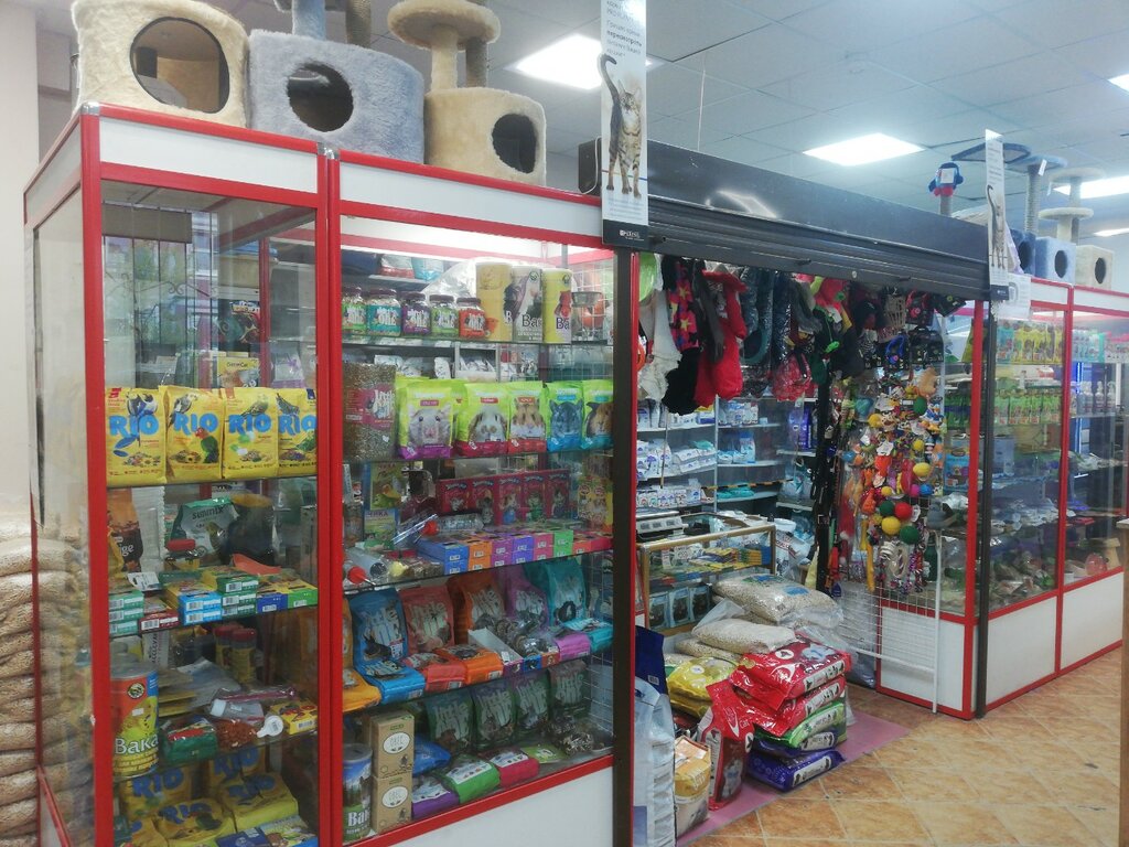 Petshop Zoo, Saint‑Petersburg, foto