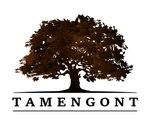 Manor Tamengont (Tsentralnaya ulitsa No:39Б, derevnya Tamengont), düğün, toplantı salonu  Saint‑Petersburg ve Leningradskaya oblastından