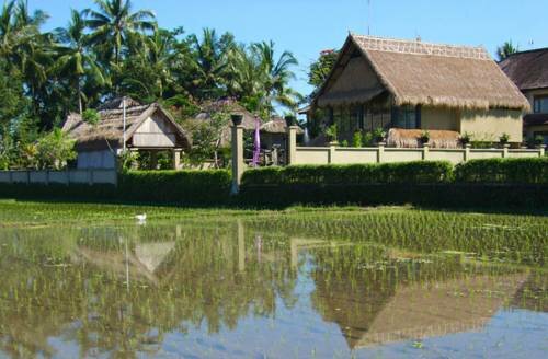 Otel Puri Darma Agung Villa, Bali, foto