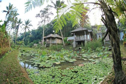 Otel Pondok Sebatu Villa, Bali, foto