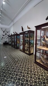 Museum of Adjara (Khariton Akhvlediani Street No:4, Batumi), müzeler ve sanat galerileri  Batum'dan