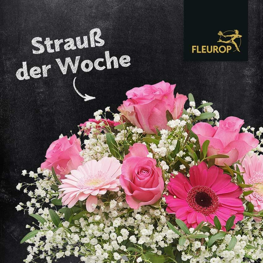 Çiçek teslimatı Schöne Blumen Floristik & Gartenbau, Saksonya, foto