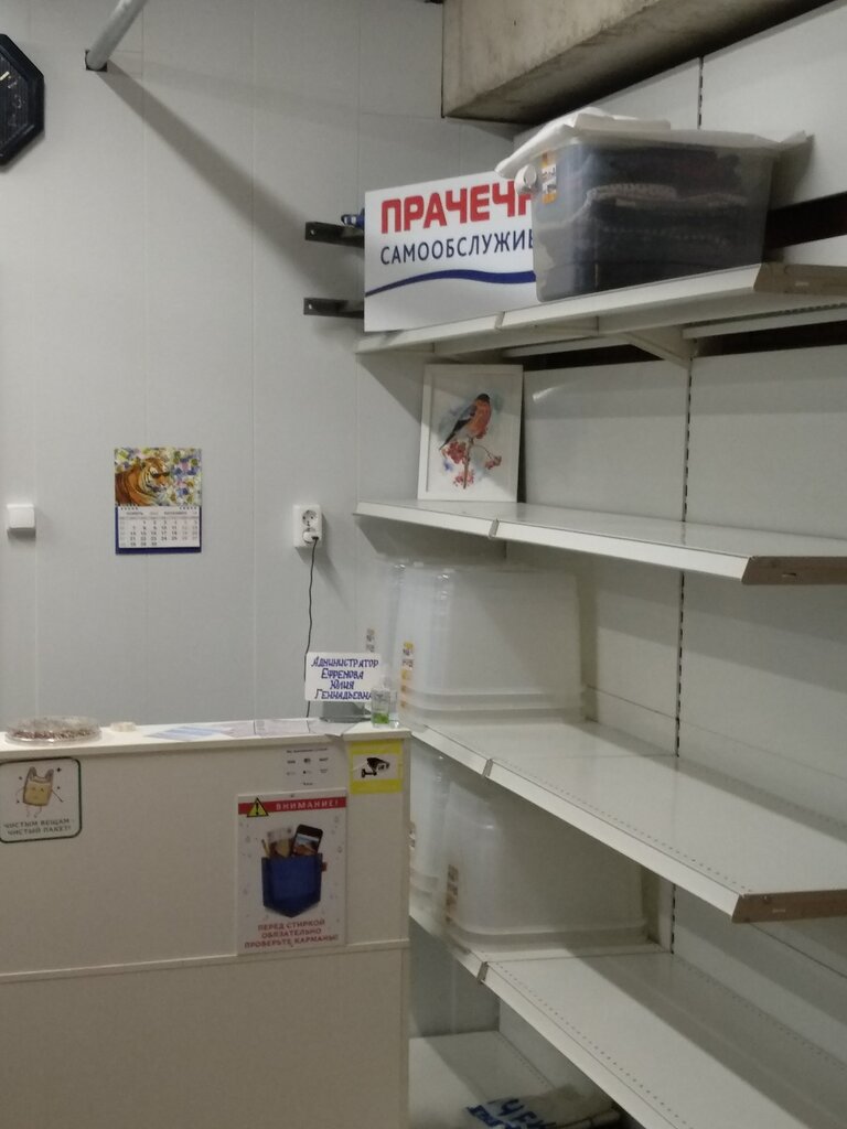 Çamaşırhaneler Chisto, Saint‑Petersburg, foto