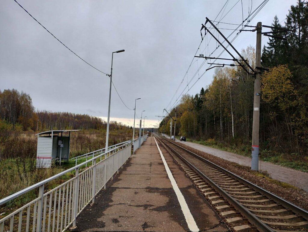 Tren istasyonu остановочный пункт Пищалино, Yaroslavskaya oblastı, foto